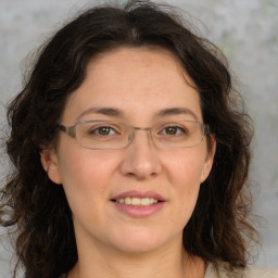 Meet Our International Chicken Road Experts Team